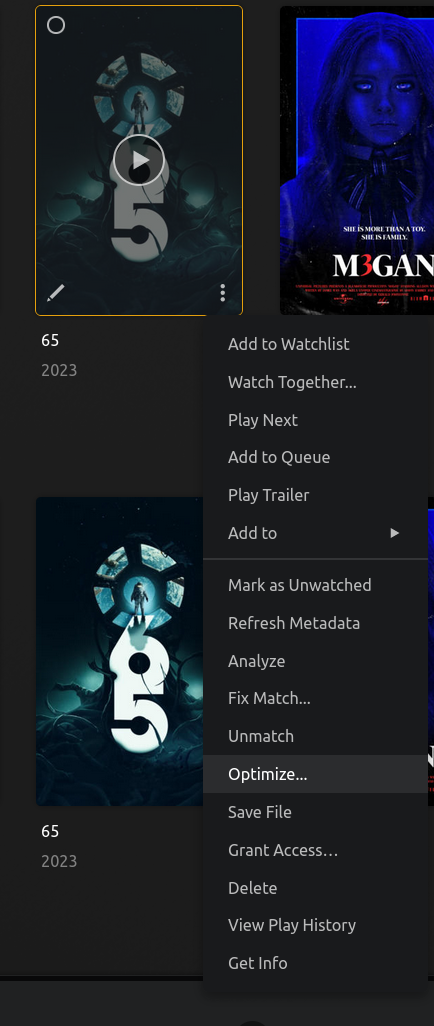 Plex – Video Optimization & Converted Files Permissions – Ryan and Debi